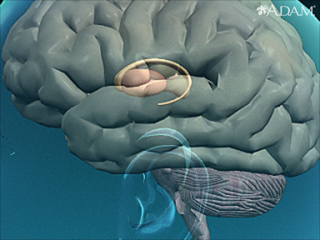 Logotipo De Casa Md Cerebro Brainlab & Monotype.